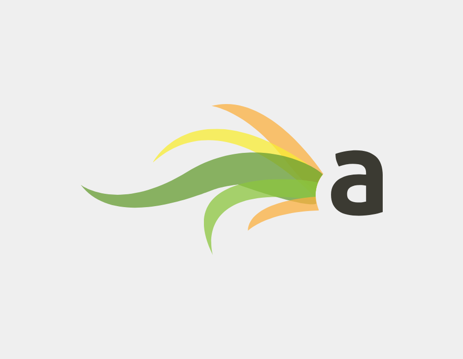 CW Perry has its official grand opening amidst a sea of black and gold ...